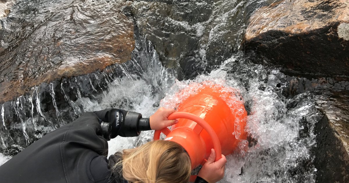 Eu Water Framework Directive And Ecological Water Quality Niva