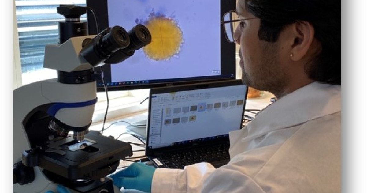 Ecotoxicology Laboratory | NIVA