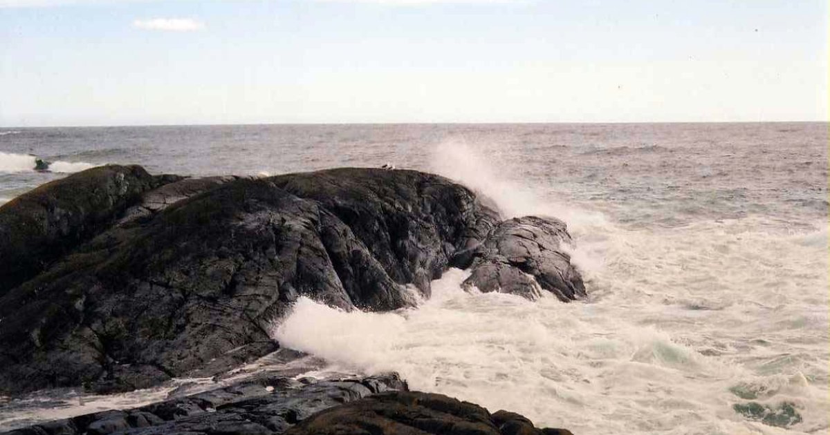 New study calls for joint effort to address ocean acidification problem ...