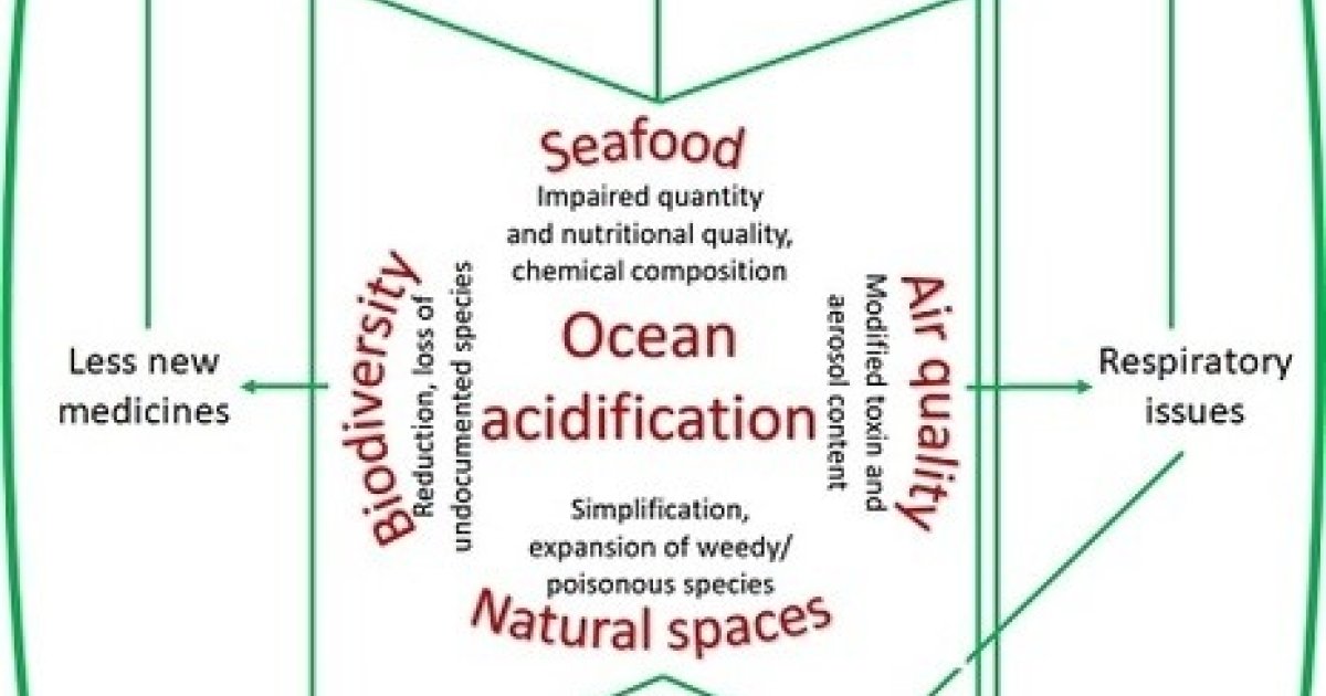 Ocean Acidification and Human Health | NIVA