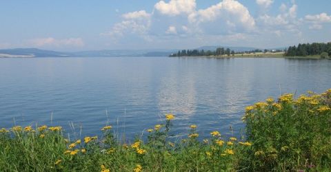 WatRes: antibiotic resistance in Hias inlet and effluent water | NIVA