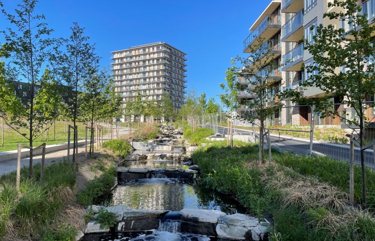 Byfisken trives bedre om det er trær langs elver og bekker | NIVA