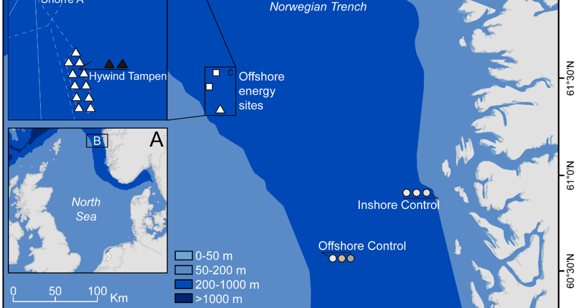 Water Column Monitoring 2024 | NIVA