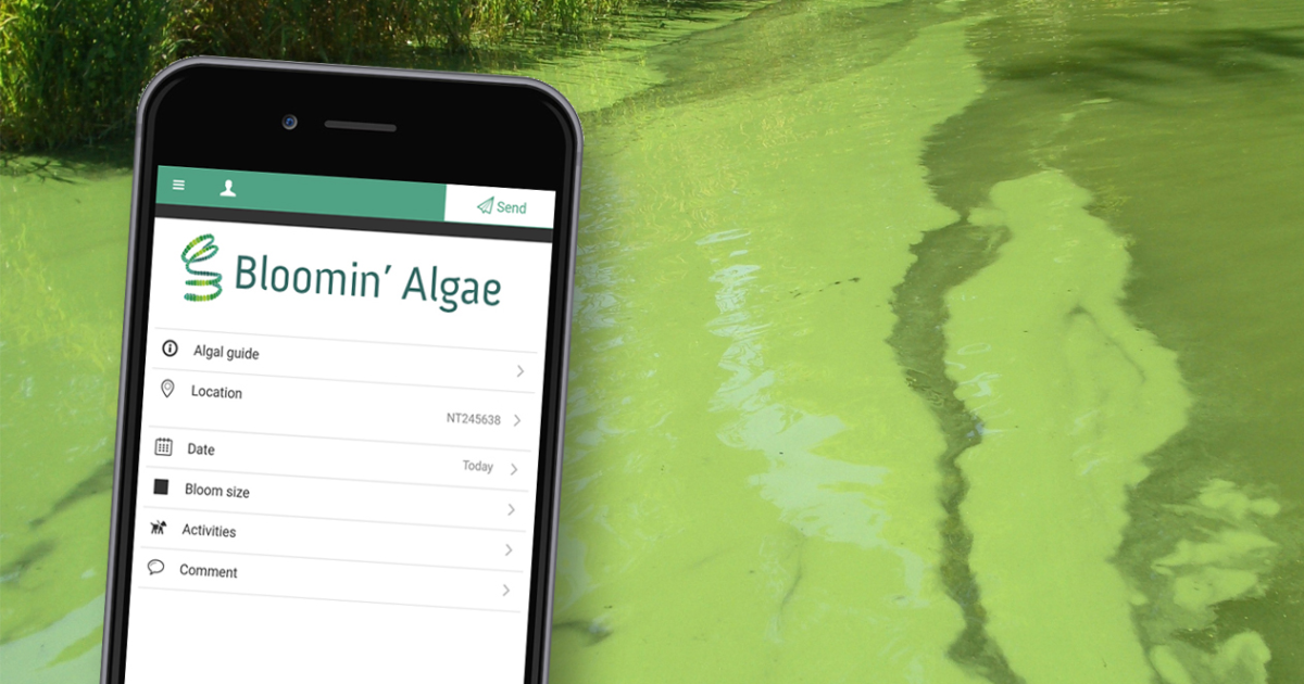 Bloomin' Algae | NIVA