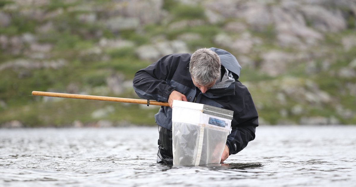 Samlet miljøpåvirkning | NIVA